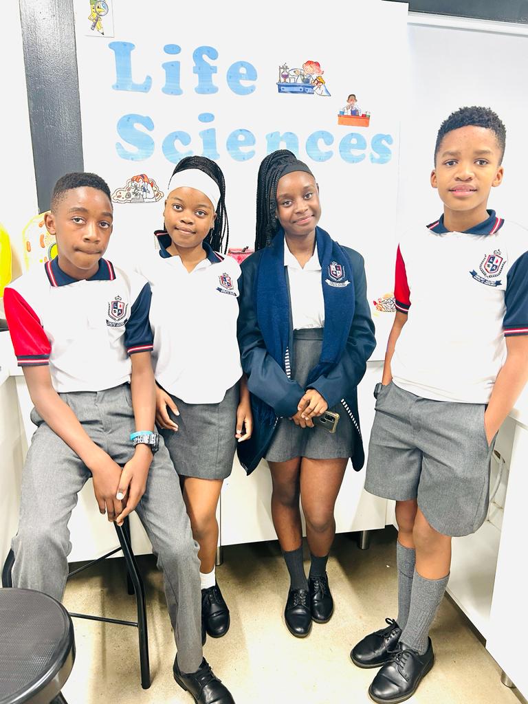 Home - Limelight Academy